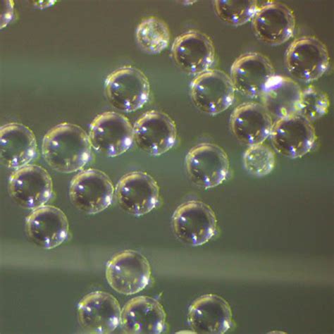 Polystyrene Microspheres Beads Particles Crosslinked Polystyrene