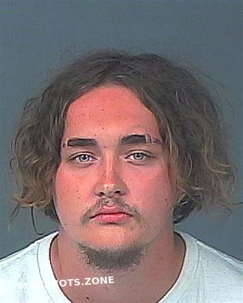 Erickson Aryan Dean 04 14 2025 Hernando County Mugshots Zone