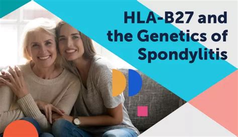Hla B27 And The Genetics Of Spondylitis Myspondylitisteam