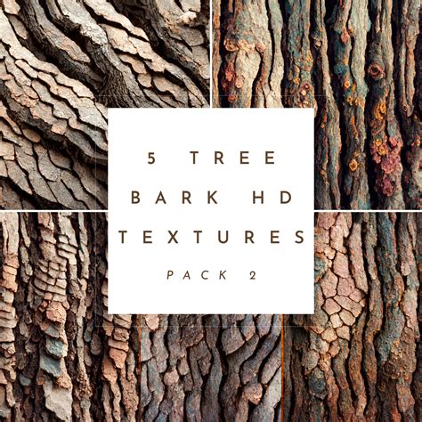 Beech Tree Bark Texture Clipart