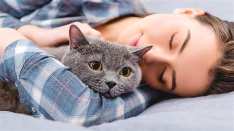 Why Does My Cat Sleep With Me 4 Reasons Pets Want To Cuddle The