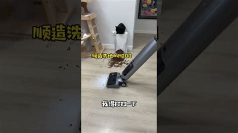 【一只黑糖啵啵🐻】本来以为发生了什么灵异事件，结果居然是 Youtube