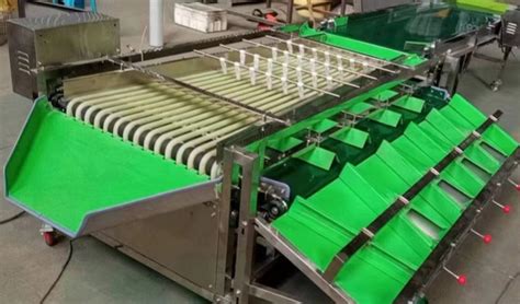 apple sorting grading classifying machine line olives size sorter and