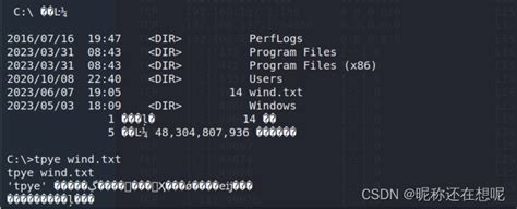 windows nc木马后门攻击复现 windows nc csdn博客