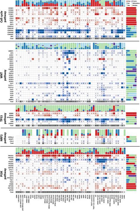 Oncogenic Signaling Pathways In The Cancer Genome Atlas Cell