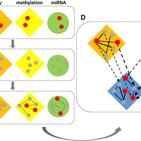 Overall Process Of The Heterogeneous Network Model Construction A