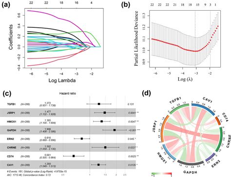 Construction Of The Ers Related Prognostic Signature A 23 Ers Related