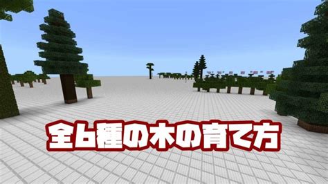【マイクラ】全6種の木の育て方と制御ブロックの位置！種類ごとに制御して効率的な伐採を。【統合版】
