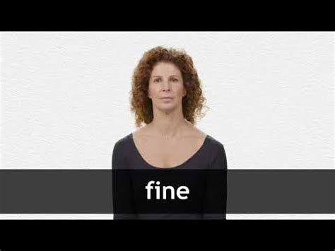 FINE Definition And Meaning Collins English Dictionary