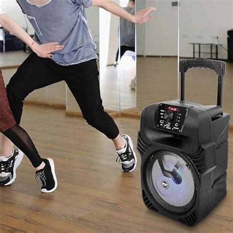Portable Dj Speaker System 400w Pa Loudspeaker 8 Inch Subwoofer Usb Mp3