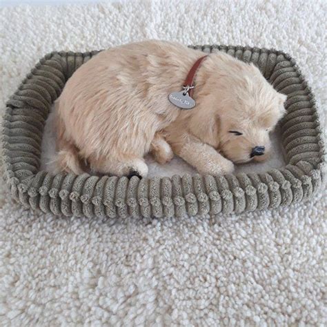 Perfect Petzzz Golden Retriever Golden Retriever Teddy Bear Animals
