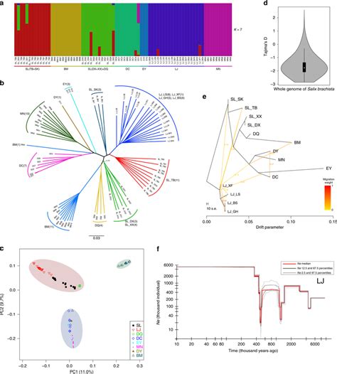 Population Genetic Strucure And Demographic History A Genetic