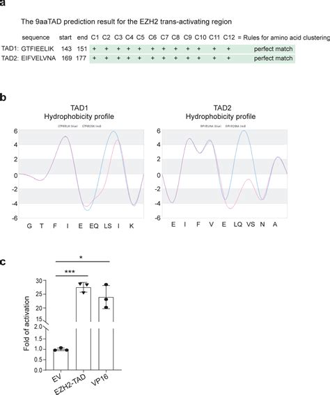 Ezh2 Non Canonically Binds Cmyc And P300 Through A Cryptic Transactivation Domain To Mediate