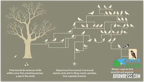 Do Birds Have Penises Anatomy Evolution And Mating Explained For 2025
