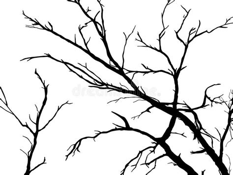 Black Branch Tree Or Naked Trees Silhouettes Set On White Background Stock Vector