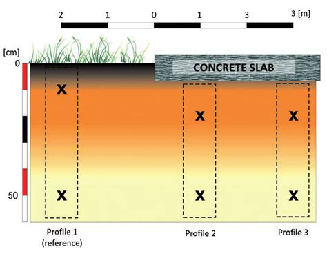 Sampling Diagram For Microbiological Analysis X Soil Sampling Sites Download Scientific