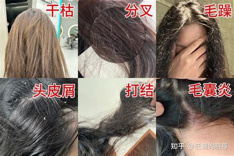 烫染必看百元高速吹风机和3K的戴森到底有什么不同同诗戴森徕芬彦高飞科直白 送女友礼物拿捏 知乎