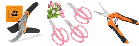 Top 5 Floral Shears Your Guide To Blossoming Beautifully
