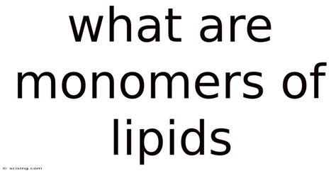 What Are Monomers Of Lipids