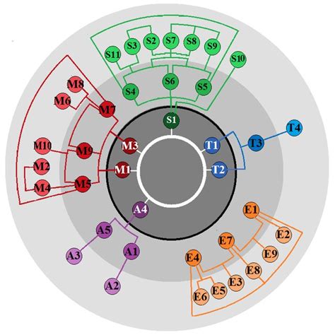 General Diagram Of Areas Download Scientific Diagram