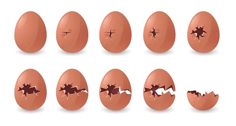 금이 간 계란 애니메이션 만화 깨진 손상된 닭고기 달걀 껍질 절반 Gui 디자인 단계가 있는 유기농 식품 평면 요소 벡터 격리 컬렉션 개념에 대한 스톡 벡터 아트 및 기타