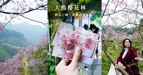 2024賞櫻熱門景點｜三峽大熊櫻花林｜門票票價、交通方式｜粉色櫻花林，4000棵從1月看到3月！超夢幻粉紅色再不來就看不到啦～ 胖貓咪的奇幻旅程