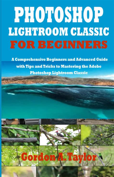 Photoshop Lightroom Classic For Beginners A Comprehensive Beginners