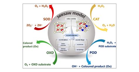 Ceria Based Nanozymes In Point Of Care Diagnosis An Emerging Futuristic Approach For Biosensing
