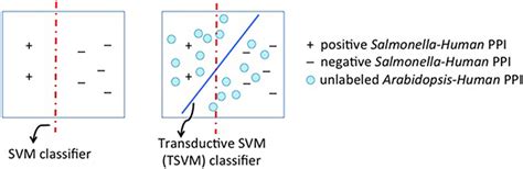 Transductive Support Vector Machine Svm For Transfer Learning The Download Scientific