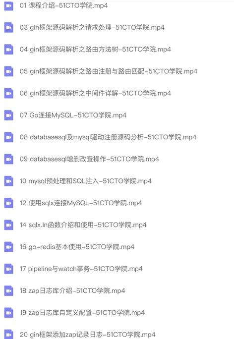 go web开发进阶项目实战（基于gin框架共81课时） 大虾资源站