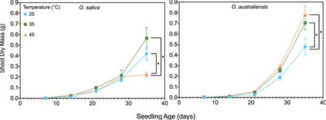 Shoot Dry Mass Of O Sativa And O Australiensis Plants Grown At 25