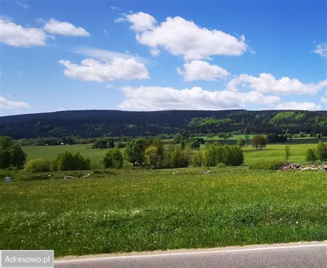 Działka Lasówka bez pośrednika 2870 m2