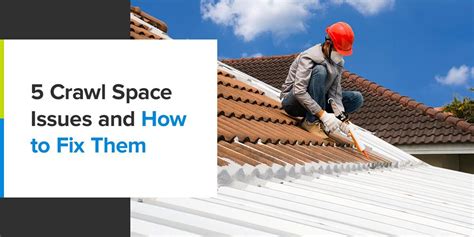 5 crawl space issues and how to fix them artofit