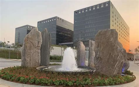 In Conversation With Deepika Banerjee On Goldman Sachs Techgig