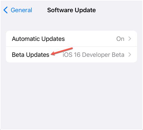 How To Enable Beta Updates On Iphone And Ipad