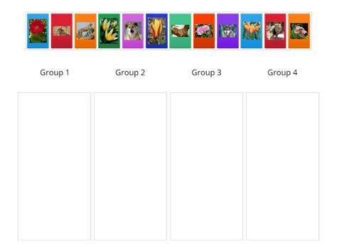Practice Classifying Organisms Categorize