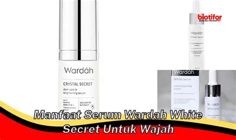 Temukan Manfaat Serum Wardah White Secret Untuk Wajah Yang Jarang