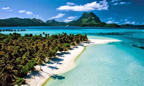 Tahiti French Polynesia The Traveller