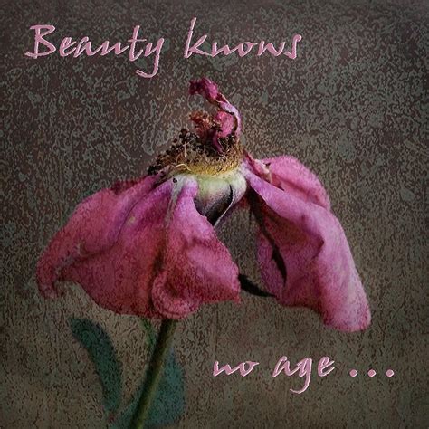Beauty Knows No Age Photograph By Rosalie Dale Fine Art America
