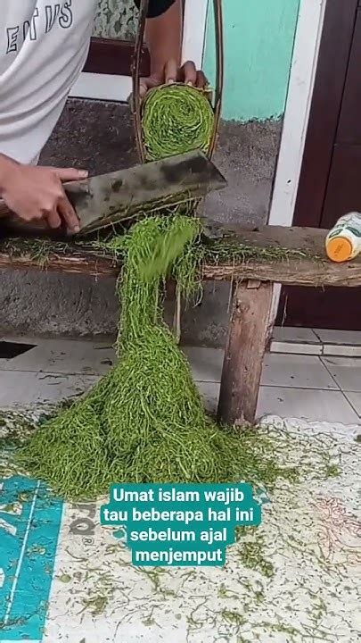 Umat Islam Wajib Tau Beberapa Hal Ini Sebelum Ajal Menjemput Shorts