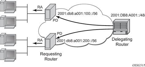 Esmv6 Ipoe Dual Stack Hosts