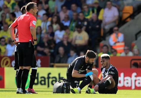 Norwich City Vs Newcastle United Picture Gallery From Carrow Road