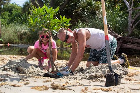 Buffer Zones Restore Our Shores