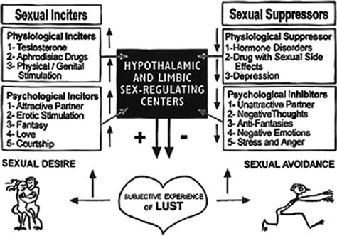 Helen S Kaplan S Dual Control Elements Of Human Sexual Download Scientific Diagram