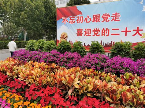 二十大直擊北京街頭紅旗飄揚 紅袖章志願者上崗 新冠疫情專頁