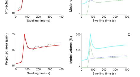 Simulation Of Swelling Kinetics With A Parallel Dynamic Model Red