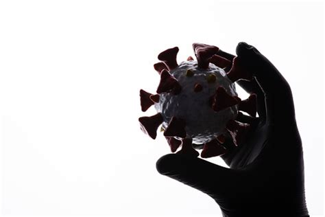 장갑 어두운 실루엣 흰색 배경에 사람의 손에 코로나 바이러스의 모델 Covid 19에 대한 스톡 사진 및 기타 이미지
