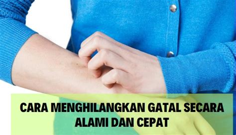 Cara Mengatasi Gatal Dengan Mudah Dan Alami Informasi Terkini
