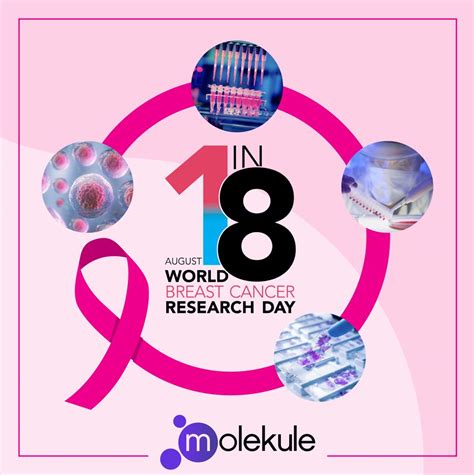 David Alderman On Linkedin Biotechnology Oncology Breastcancer