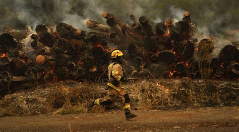 Chile Mantiene Emergencia En Regiones Con Incendios Forestales